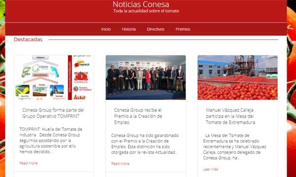 Conesa Group - Inbuze - Digital Marketing